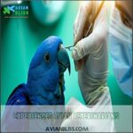 Beak Trimming for Birds: Pain-Free Techniques Every Owner Should Know