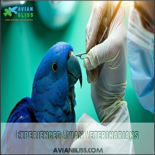 Beak Trimming for Birds: Pain-Free Techniques Every Owner Should Know