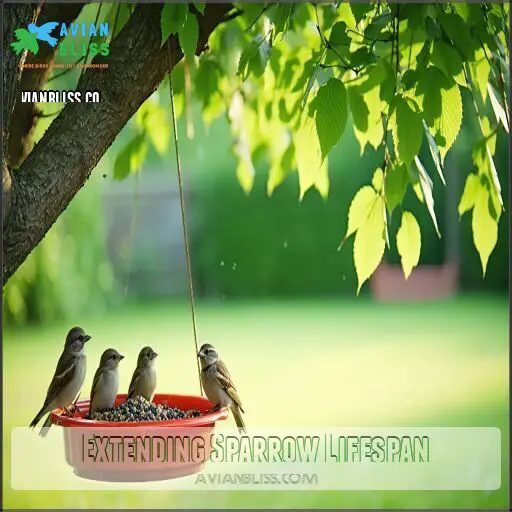 How Long Do Sparrows Live? Lifespan Insights for Wild & Captive Birds