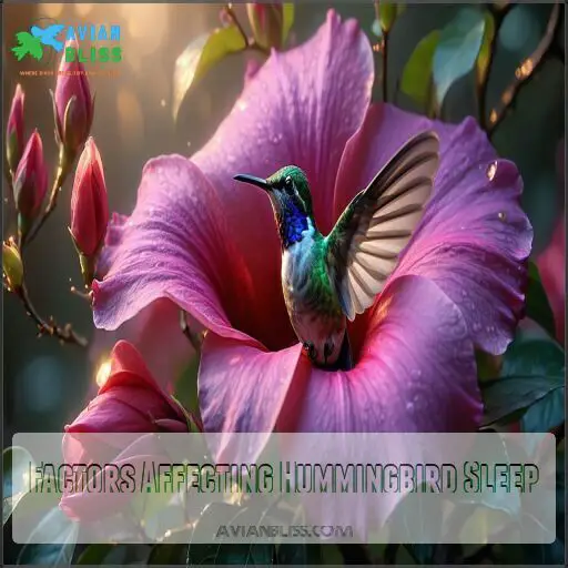 Where Do Hummingbirds Sleep? Night Habits and Torpor Explained