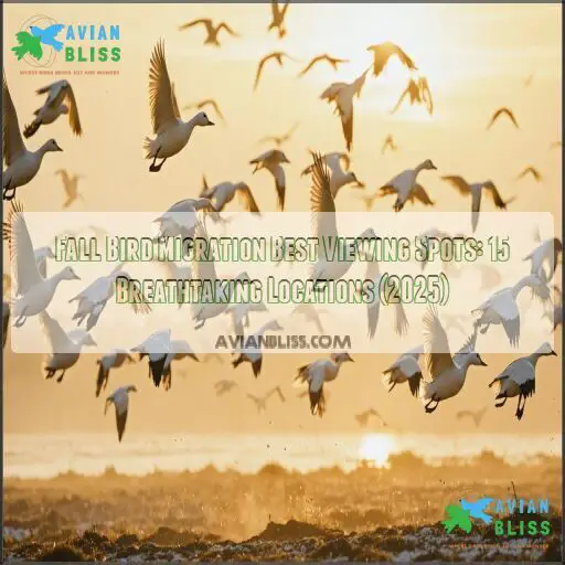 Fall Bird Migration Best Viewing Spots: 15 Breathtaking Locations (2025)