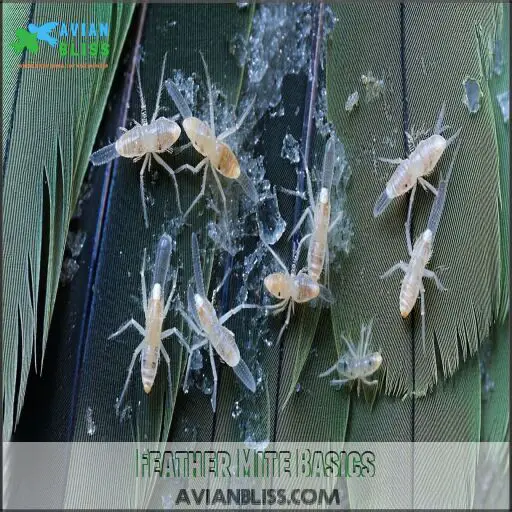 Feather Mite Treatment Options: Best Remedies to Keep Birds Healthy