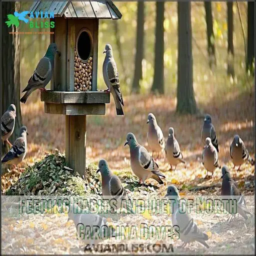 Doves in North Carolina: Types, Habitats, and Fascinating Behaviors