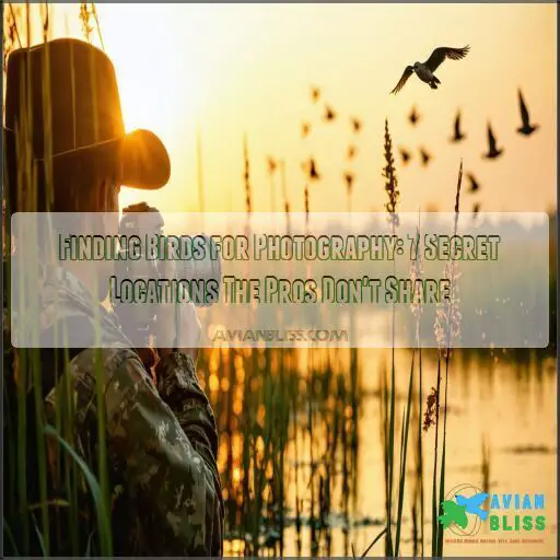 Finding Birds for Photography: 7 Secret Locations The Pros Don't Share