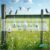 Gourd Bird Houses for Purple Martins: Build, Maintain, and Attract Them