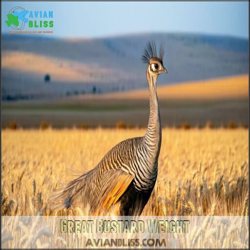 Largest Flying Birds: by Wingspan, Weight, and Height for 2025