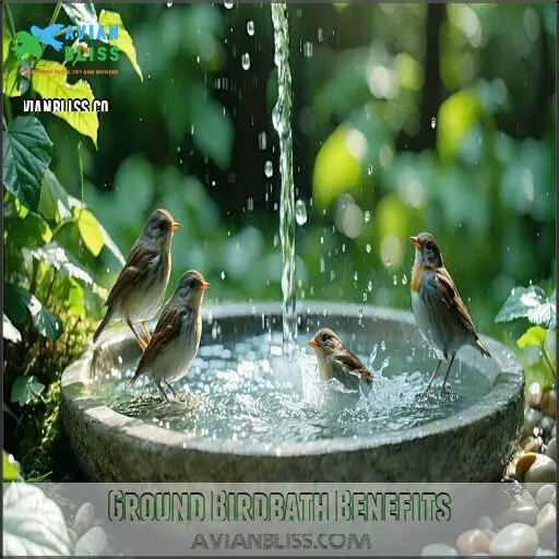 Bird Bath Ground Dwelling Birds: 9 Perfect Options They'll Love in 2025