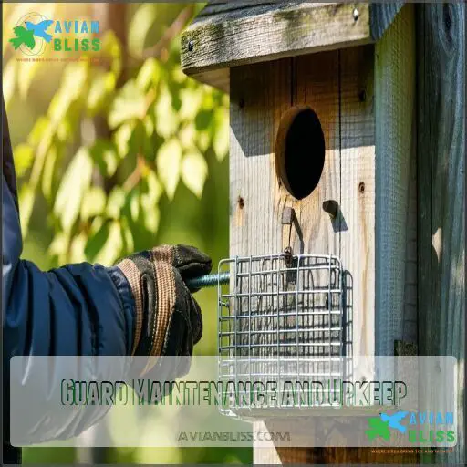 Bird House Predator Guard Installation: Protect Birds With These Tips