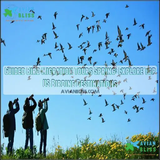 Guided Bird Migration Tours Spring: Explore Top US Birding Destinations