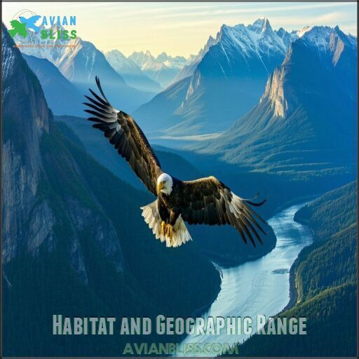 Cool Bird Facts About Eagles: Amazing Features, Behavior, and Lifespan