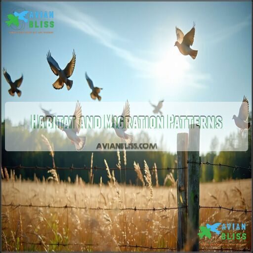 Doves in Georgia: Hunting, Conservation, Ecosystem, and Migration Insights