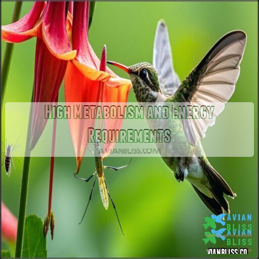 Do Hummingbirds Eat Bugs? Learn What Insects Are on Their Menu!