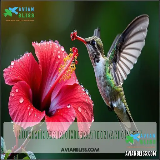 Where Do Hummingbirds Sleep? Night Habits and Torpor Explained