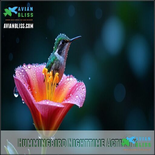 Where Do Hummingbirds Sleep? Night Habits and Torpor Explained