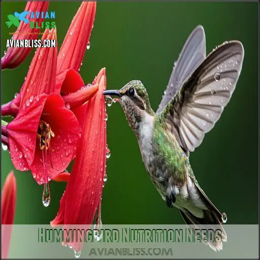 Do Hummingbirds Eat Bugs? Learn What Insects Are on Their Menu!
