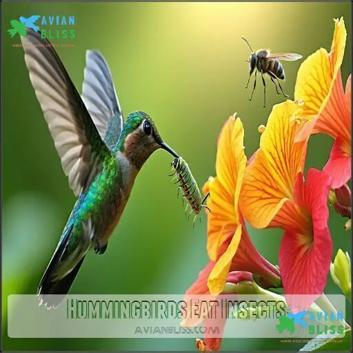 Do Hummingbirds Eat Bugs? Learn What Insects Are on Their Menu!