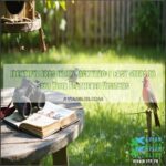 Identify Birds in My Backyard: 7 Easy Steps to Spot Your Feathered Visitors