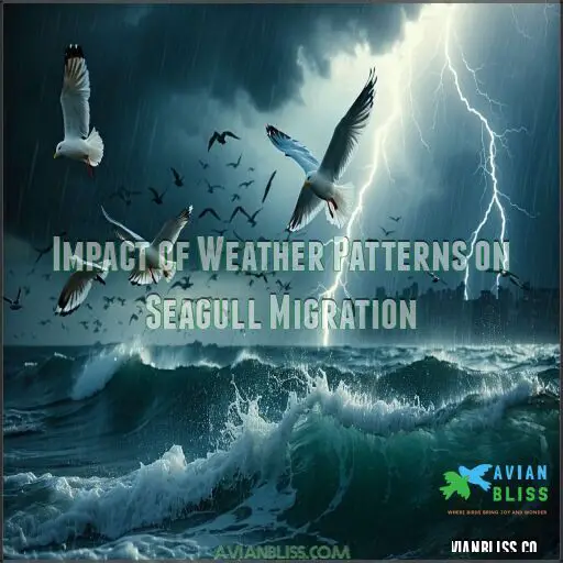 Do Seagulls Migrate? Secret Winter Journeys Revealed! (2025 Guide)