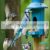 Are Blue Jays Aggressive Birds? The Truth About These Bold Backyard Bullies