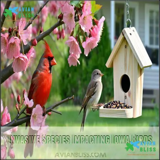 Backyard Birds of Iowa: 30 Common Types to Watch and Attract