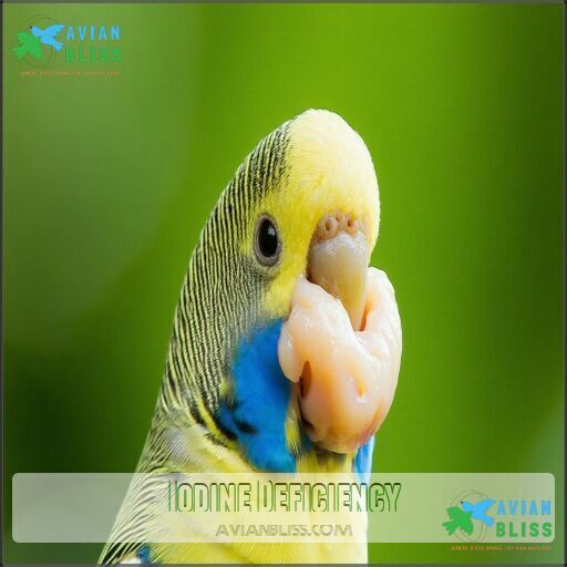 Recognizing Vitamin Deficiency in Birds: 7 Warning Signs Every Owner ...