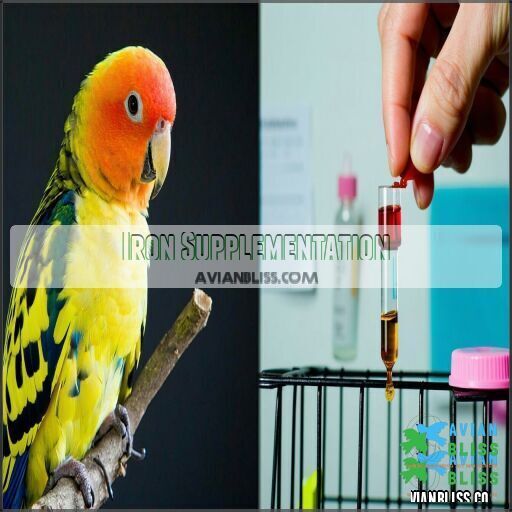 Bird Iron Deficiency Causes: Signs, Risks, and How to Help Your Pet Bird
