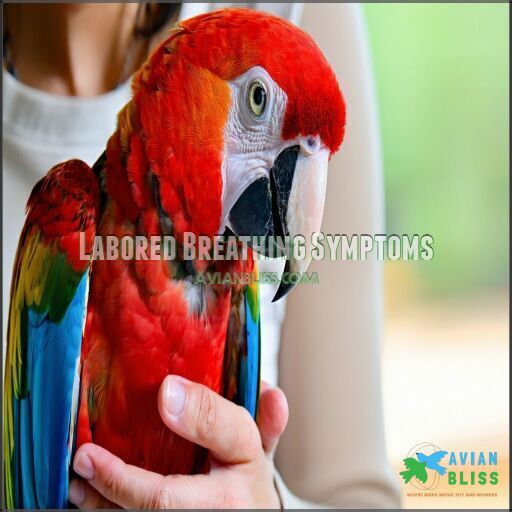 Avian Health Habits: Expert Tips for Keeping Your Bird Happy and Healthy