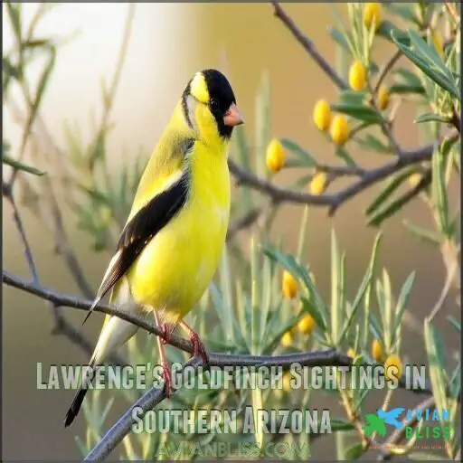 Yellow Birds in Arizona: 15 Stunning Species You Must See Today!