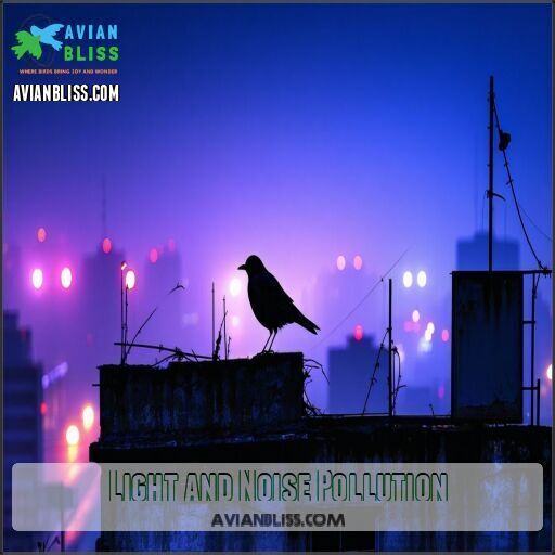 Facts About Birds in Urban Areas: How Cities Are Changing Bird Life