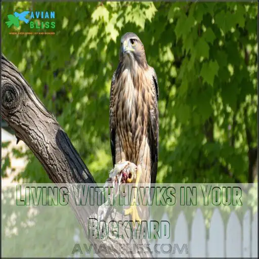 Why Do Hawks Eat Other Birds? Learn Their Diet and Hunting Secrets