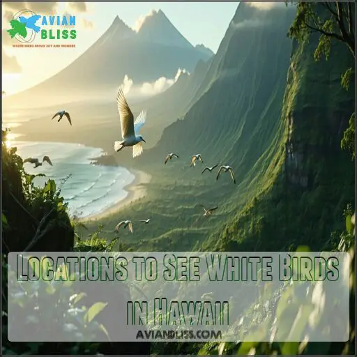 White Birds in Hawaii: Stunning Species You Need to Know About