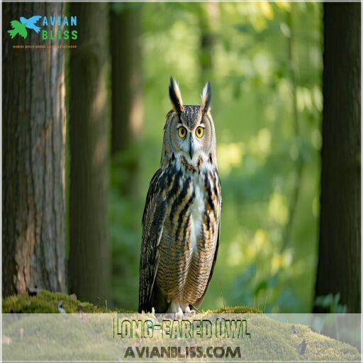 Owls of Florida: Species, Habitats, and The Best Spots to See Them