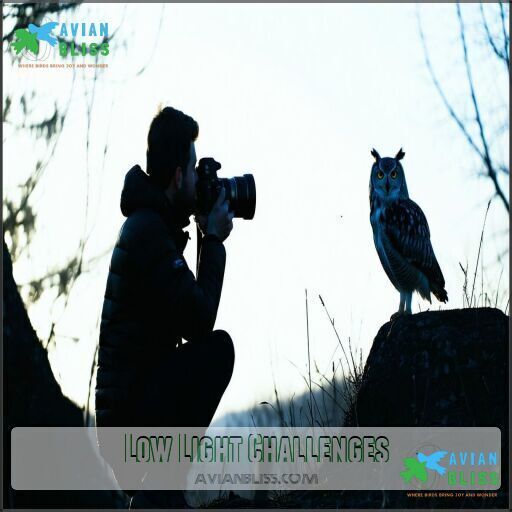 Bird Photography in Low Light: Expert Tips for Stunning Wildlife Shots