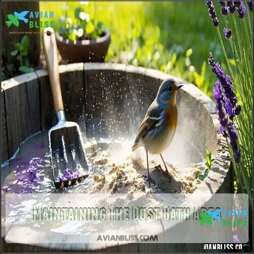 How to Build a Dust Bath for Birds: Simple Tips for Happy, Healthy Birds