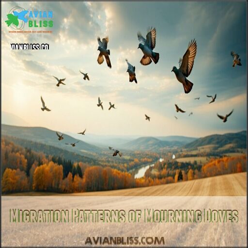 How Long Do Mourning Doves Live? Lifespan, Survival, and Fascinating Facts