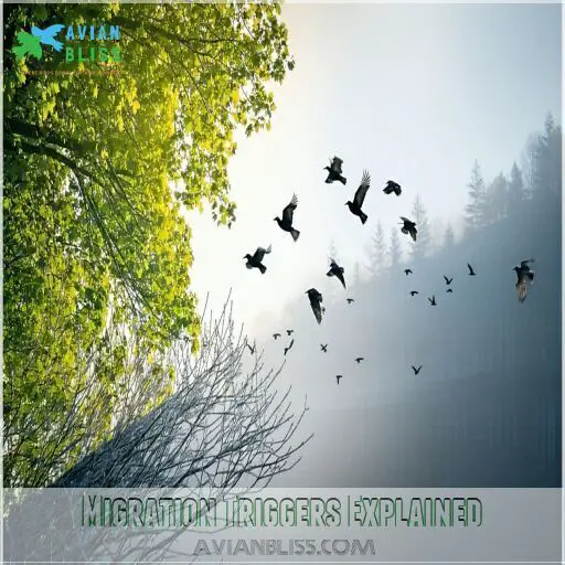 Why Do Birds Migrate South? Seasonal Instincts and Survival Explained