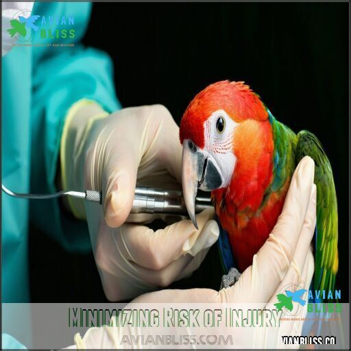 Beak Trimming for Birds: Pain-Free Techniques Every Owner Should Know