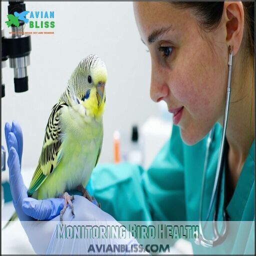 Home Remedies Bird Congestion: Natural Ways to Help Your Feathered Friend