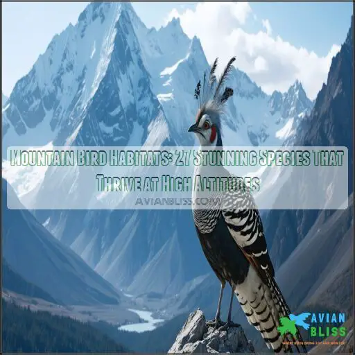 Mountain Bird Habitats: 27 Stunning Species That Thrive at High Altitudes