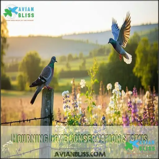 How Long Do Mourning Doves Live? Lifespan, Survival, and Fascinating Facts