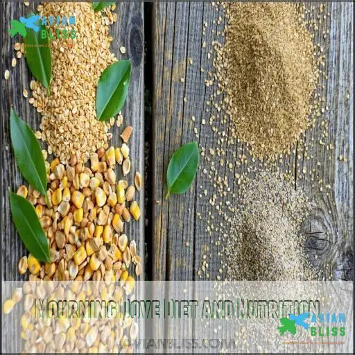 How Long Do Mourning Doves Live? Lifespan, Survival, and Fascinating Facts