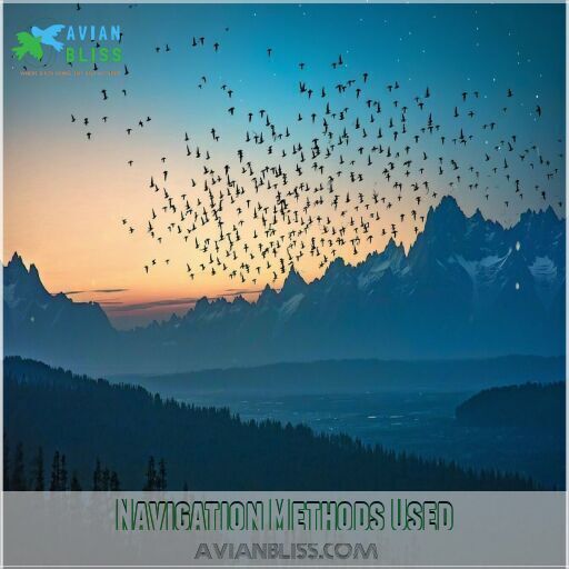 Why Do Birds Migrate South? Seasonal Instincts and Survival Explained