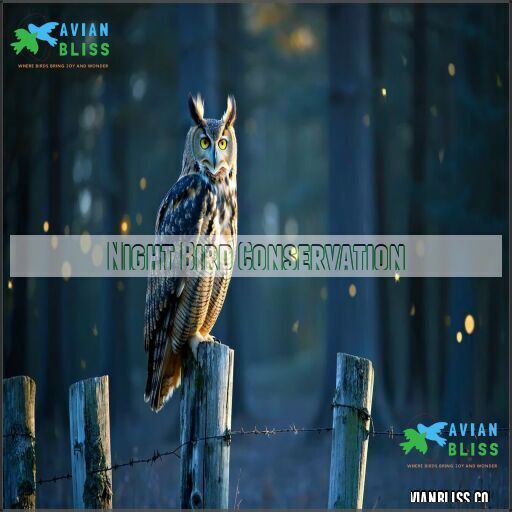 Night Birds in Wisconsin: Guide to Nocturnal Species and How to Spot Them