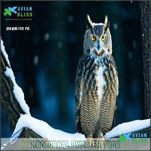 Best Time to Look for Owls: Tips for Spotting Them Day or Night