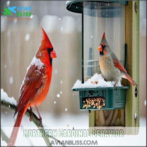 Backyard Birds of New York: 25 Stunning Species You Can Spot Today!