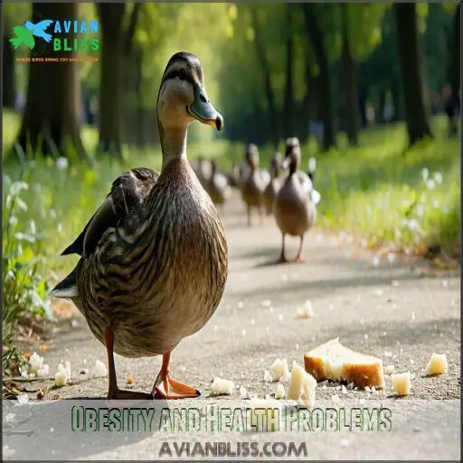 Can Birds Eat Bread? The Truth Behind This Common Feeding Mistake