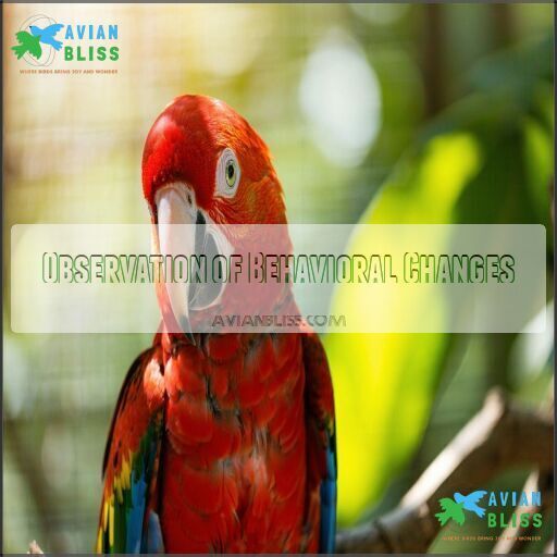 Avian Head Tilting Disease: 5 Warning Signs Every Bird Owner Must Know