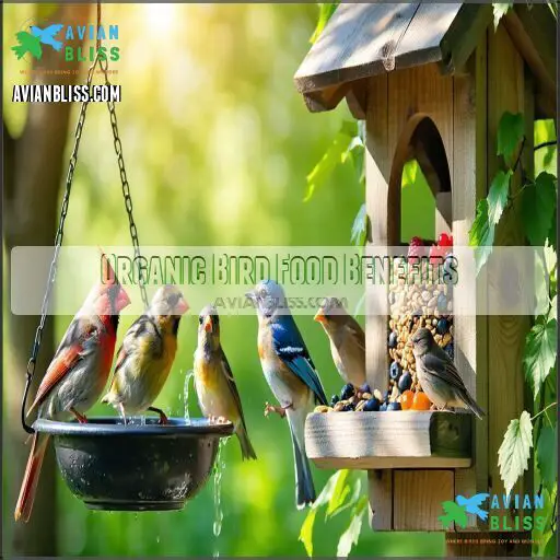 Organic Bird Food Delivery Service: Top-Rated Fresh Options for ...