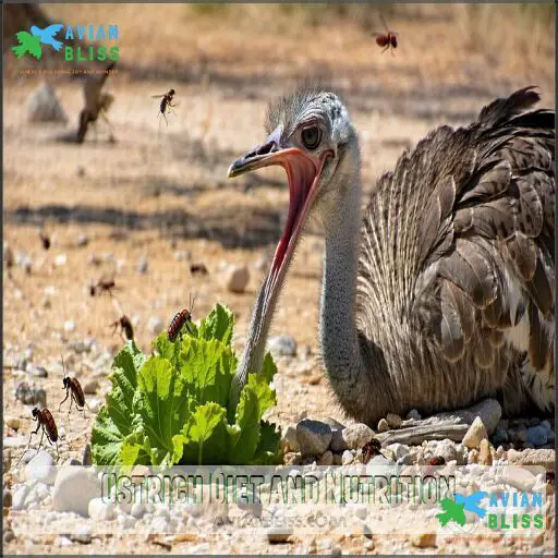 Do Ostriches Have Teeth? The Surprising Truth About Their Bite
