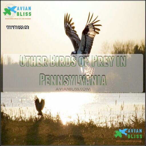 Pennsylvania Birds of Prey: ID Guide, Facts, Photos & Conservation